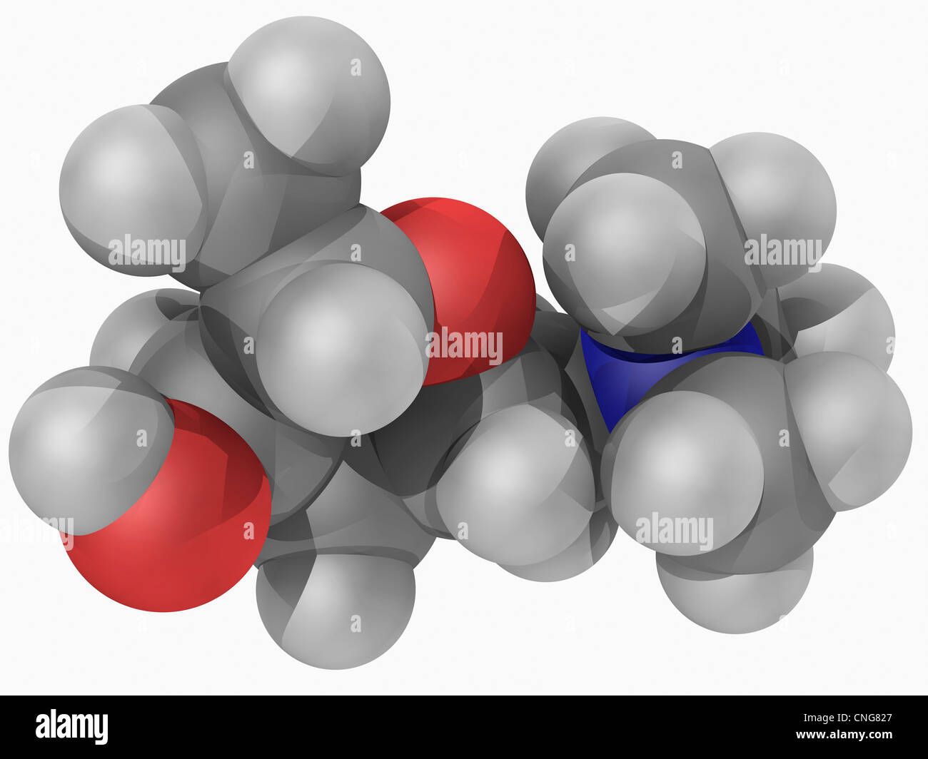 Muscarine molecular hi-res stock photography and images - Alamy