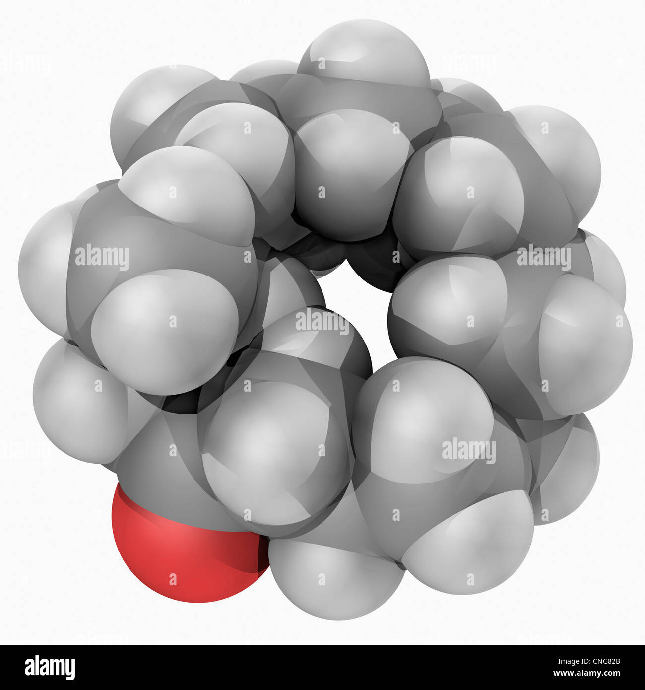 Muscone molecule Cut Out Stock Images & Pictures - Alamy