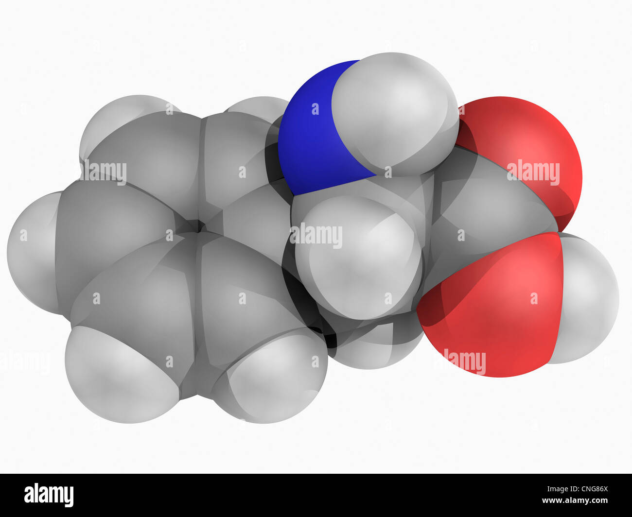 Phenylalanine amino acids hi-res stock photography and images - Alamy