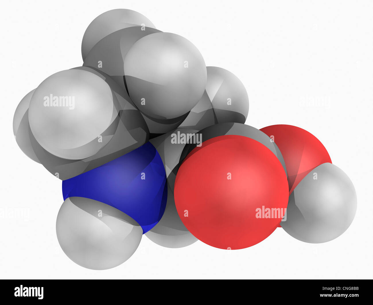 Proline amino acid molecule hi-res stock photography and images - Alamy
