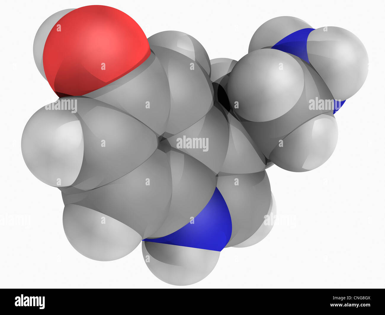 Serotonin Neurotransmitter Molecular Model Serotonin High Resolution ...