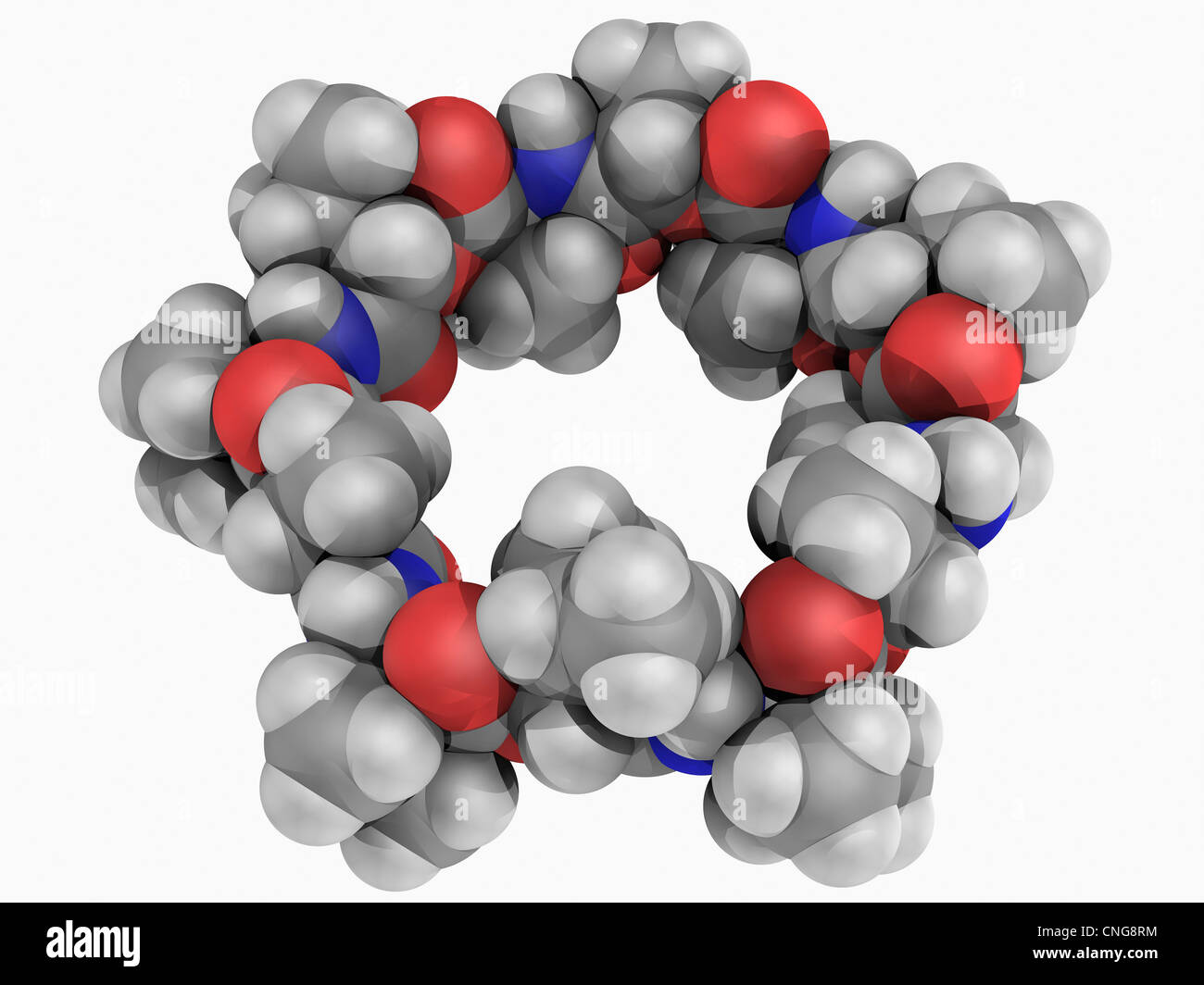 Valinomycin molecular hi-res stock photography and images - Alamy
