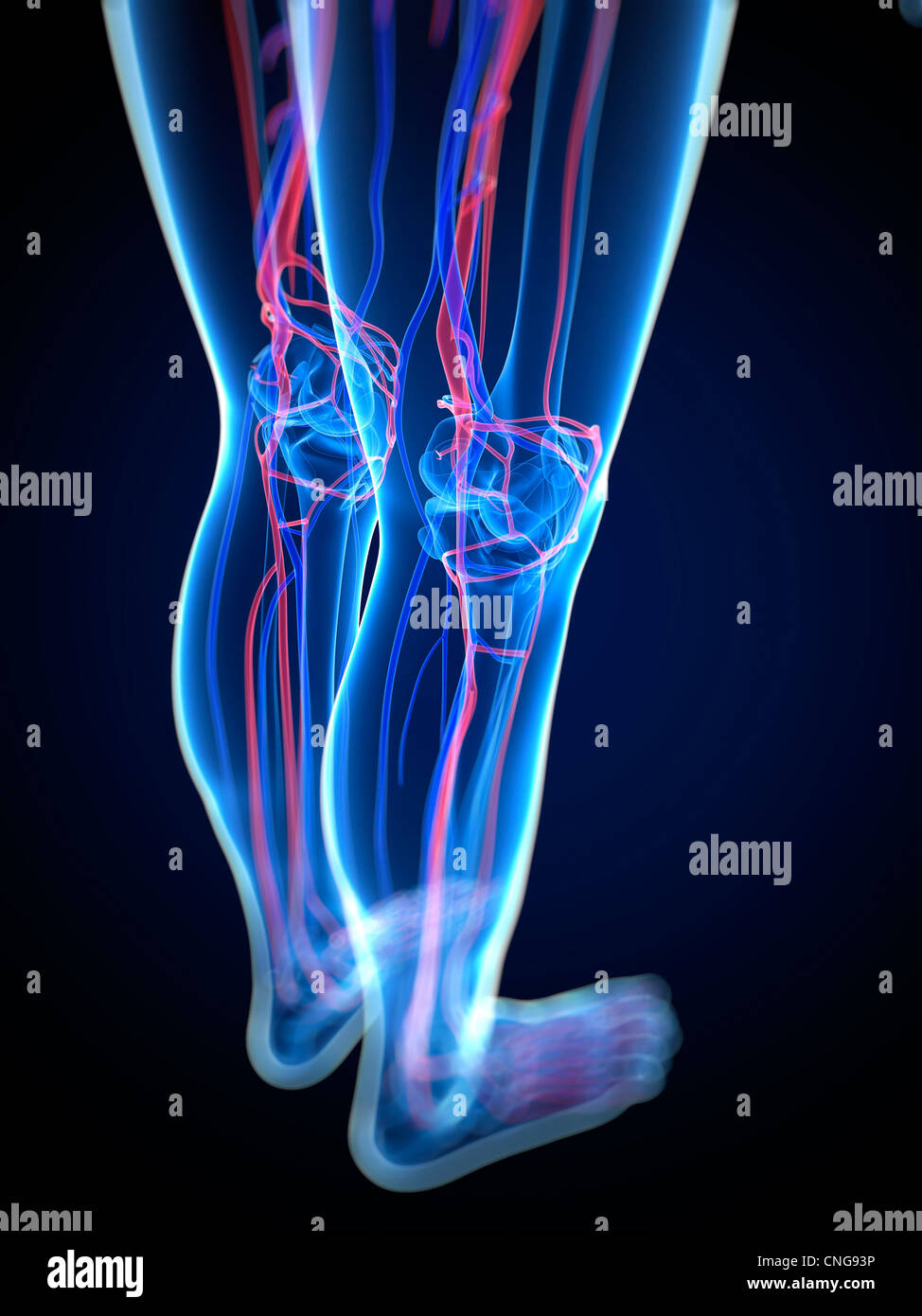 Vascular care hi-res stock photography and images - Alamy