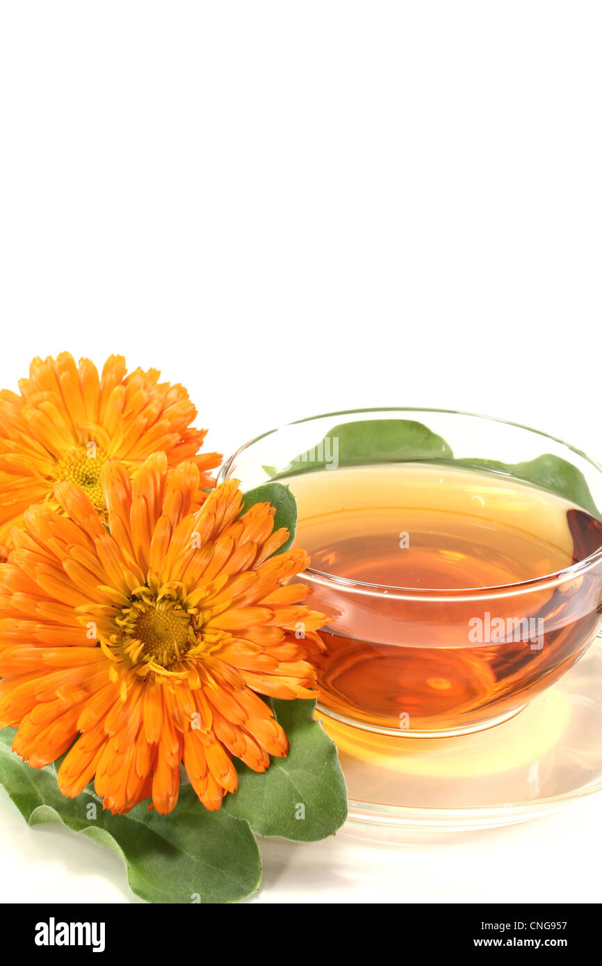 marigold tea with Calendula and leaves on a light background Stock ...