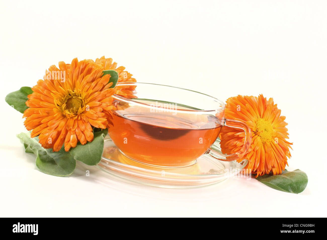 fresh marigold tea with Calendula flowers and leaves on a light ...