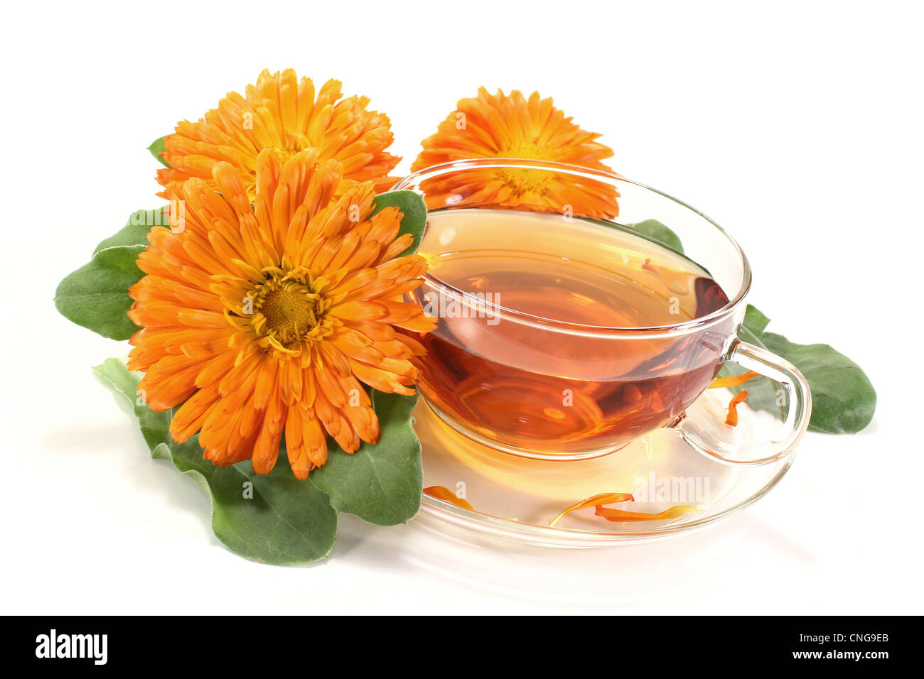 marigold tea with Calendula flowers and leaves on a light background ...