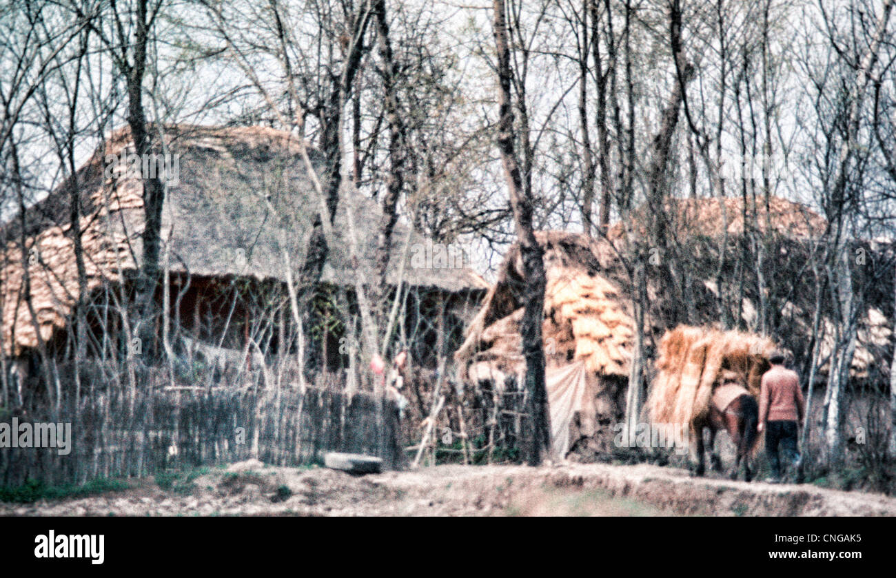 IRAN, CASPIAN SEA: Farmers using locally grown straw to re-roof their ...