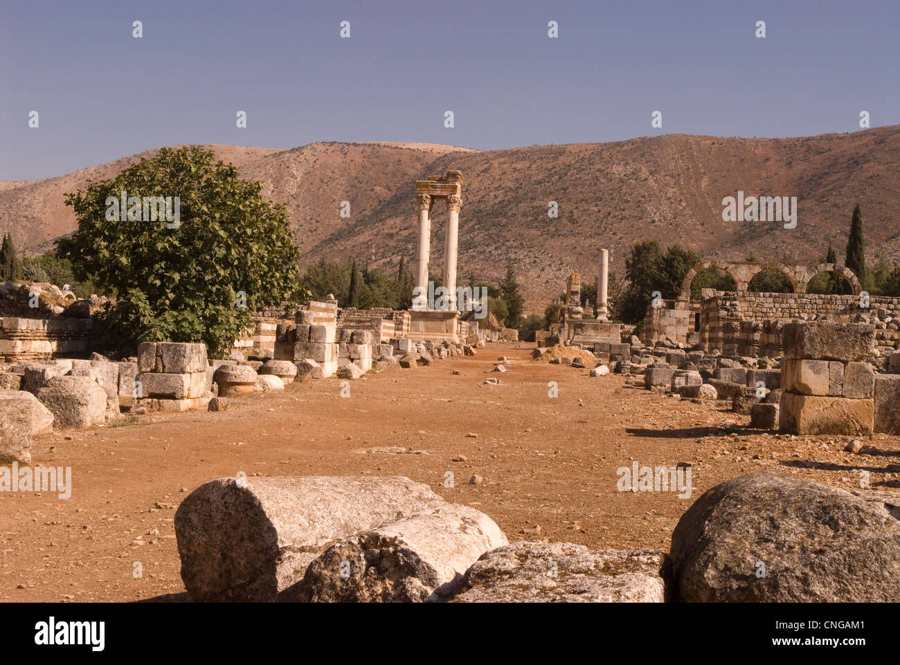 Decumanus maximus hi-res stock photography and images - Alamy