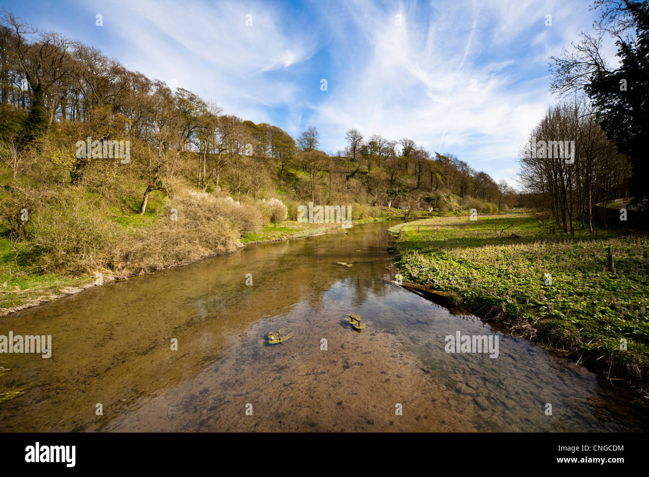 The River Lathkill flow through Lathkill Dale, Peak District ...