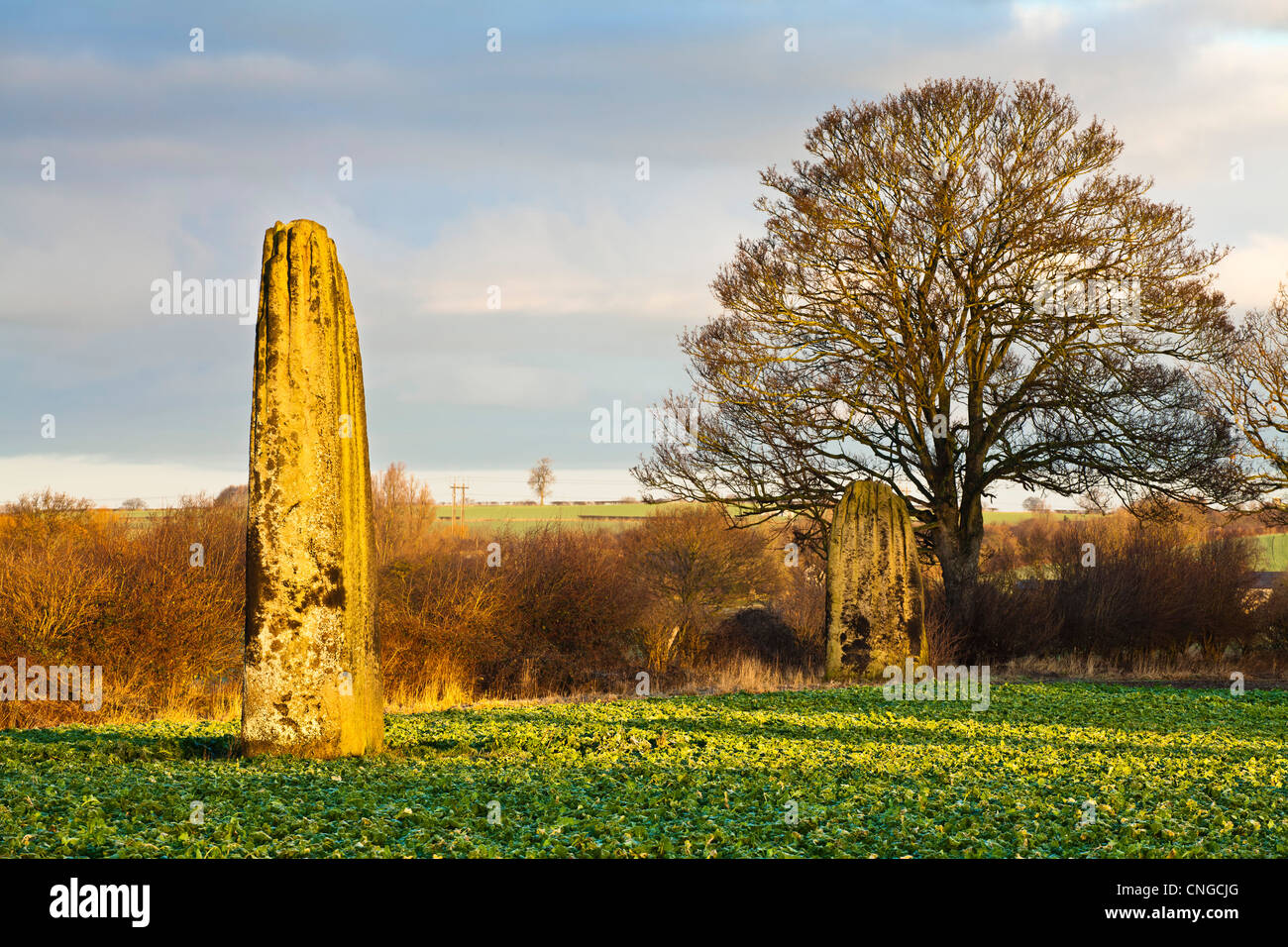 The Devil's Arrows standing stones at Boroughbridge, North Yorkshire ...