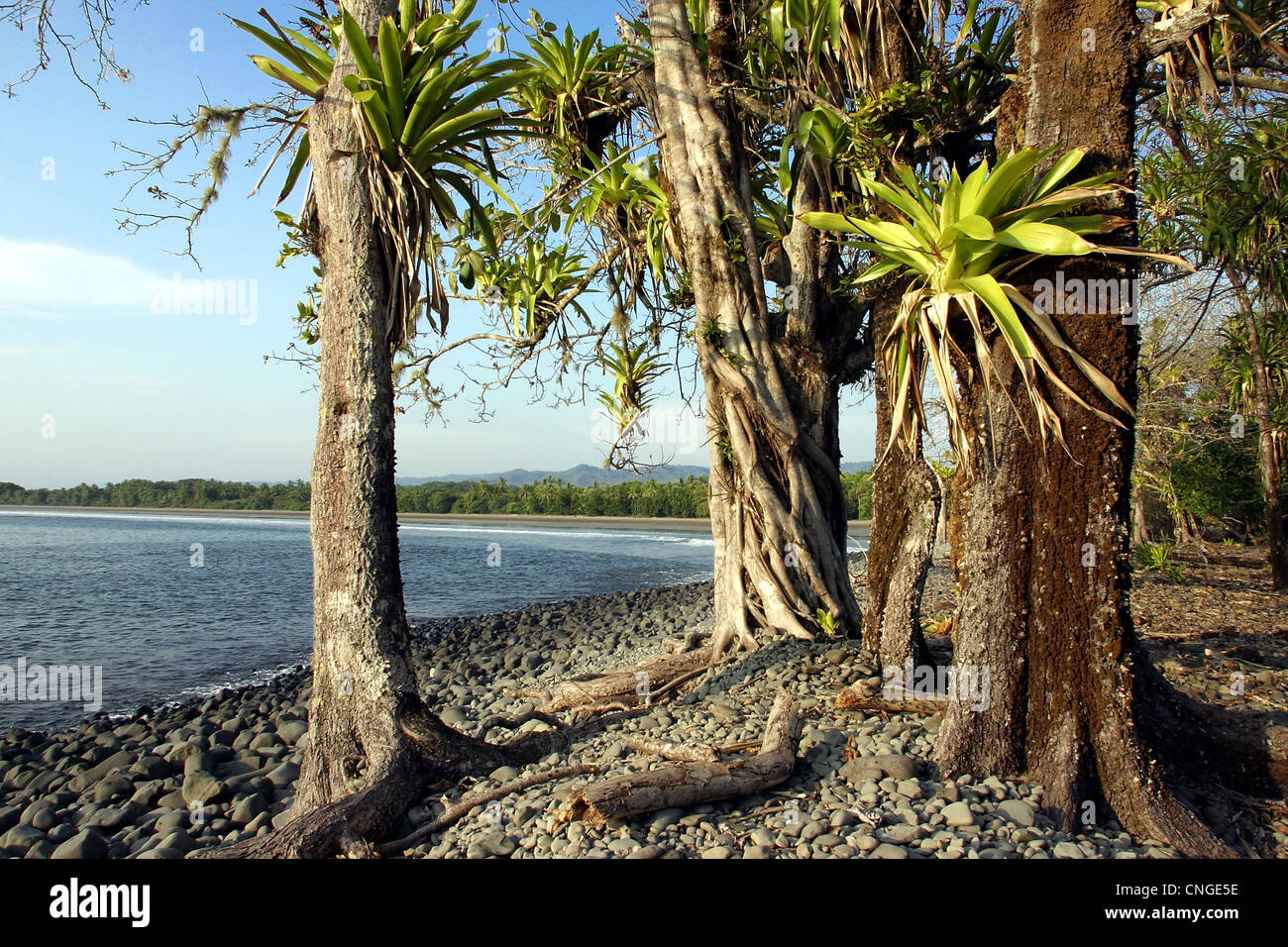 Beaches chiriqui hi-res stock photography and images - Alamy