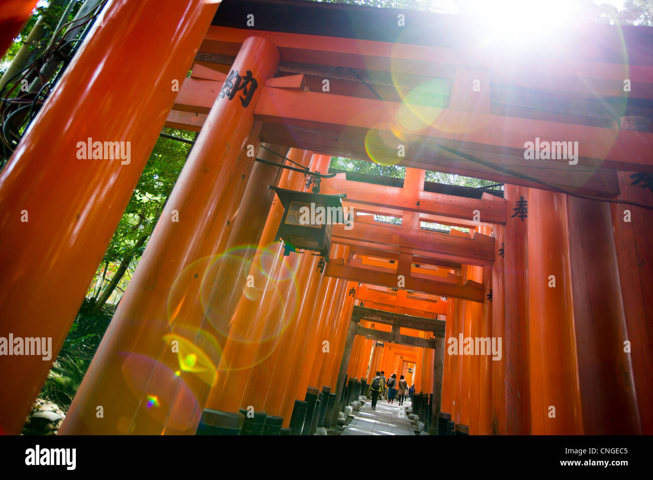 The tunnel and path of red torii gates leading to the Inner Shrine at ...