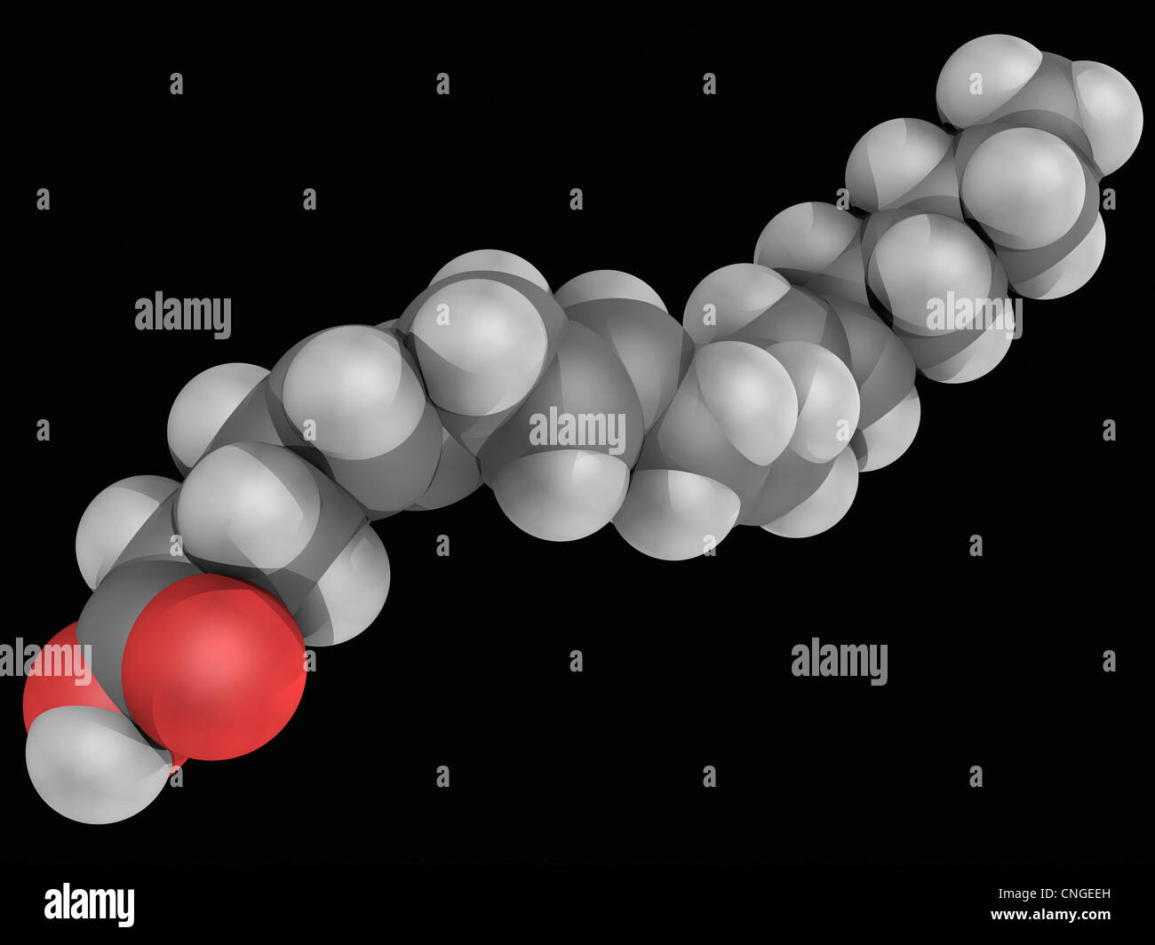Arachidonic acid molecule Stock Photo - Alamy