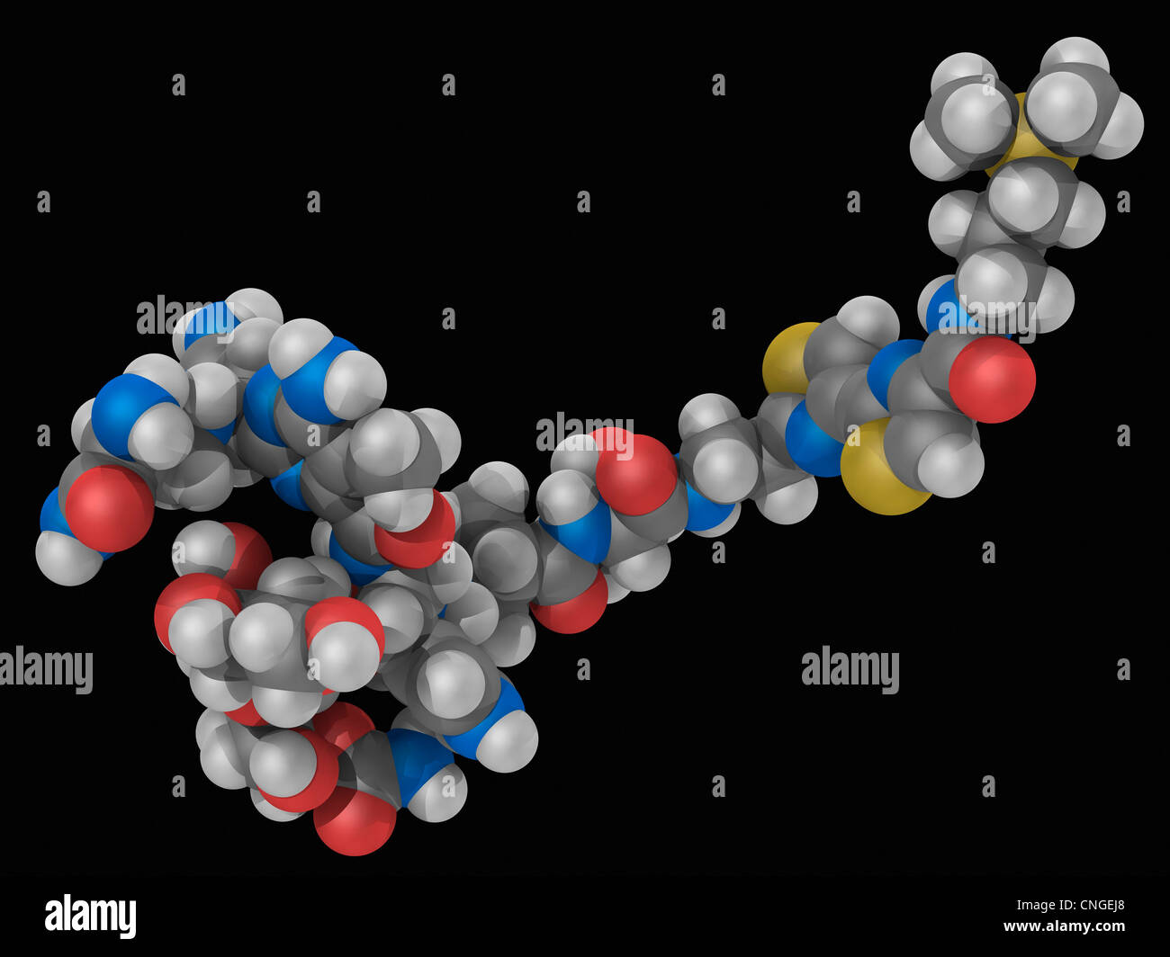 Bleomycin drug molecule Stock Photo - Alamy