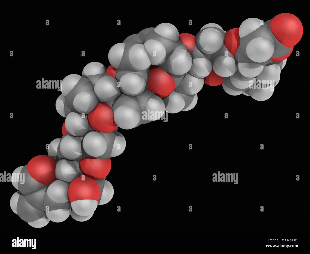Brevetoxin neurotoxin molecule Stock Photo - Alamy