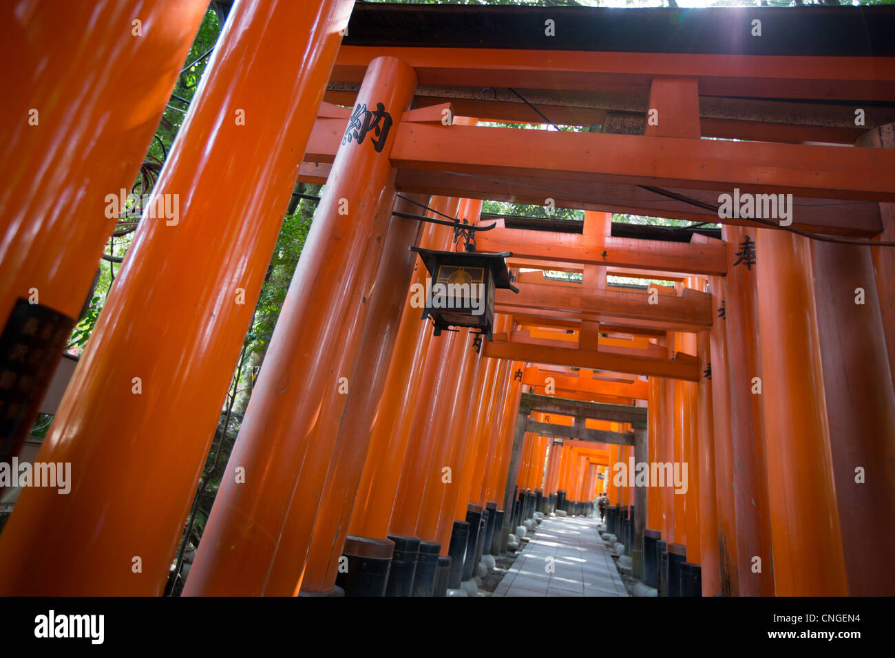 The tunnel and path of red torii gates leading to the Inner Shrine at ...