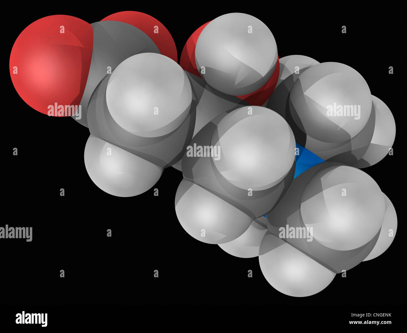 Carnitine Molecule Chemical Structure High Resolution Stock Photography ...