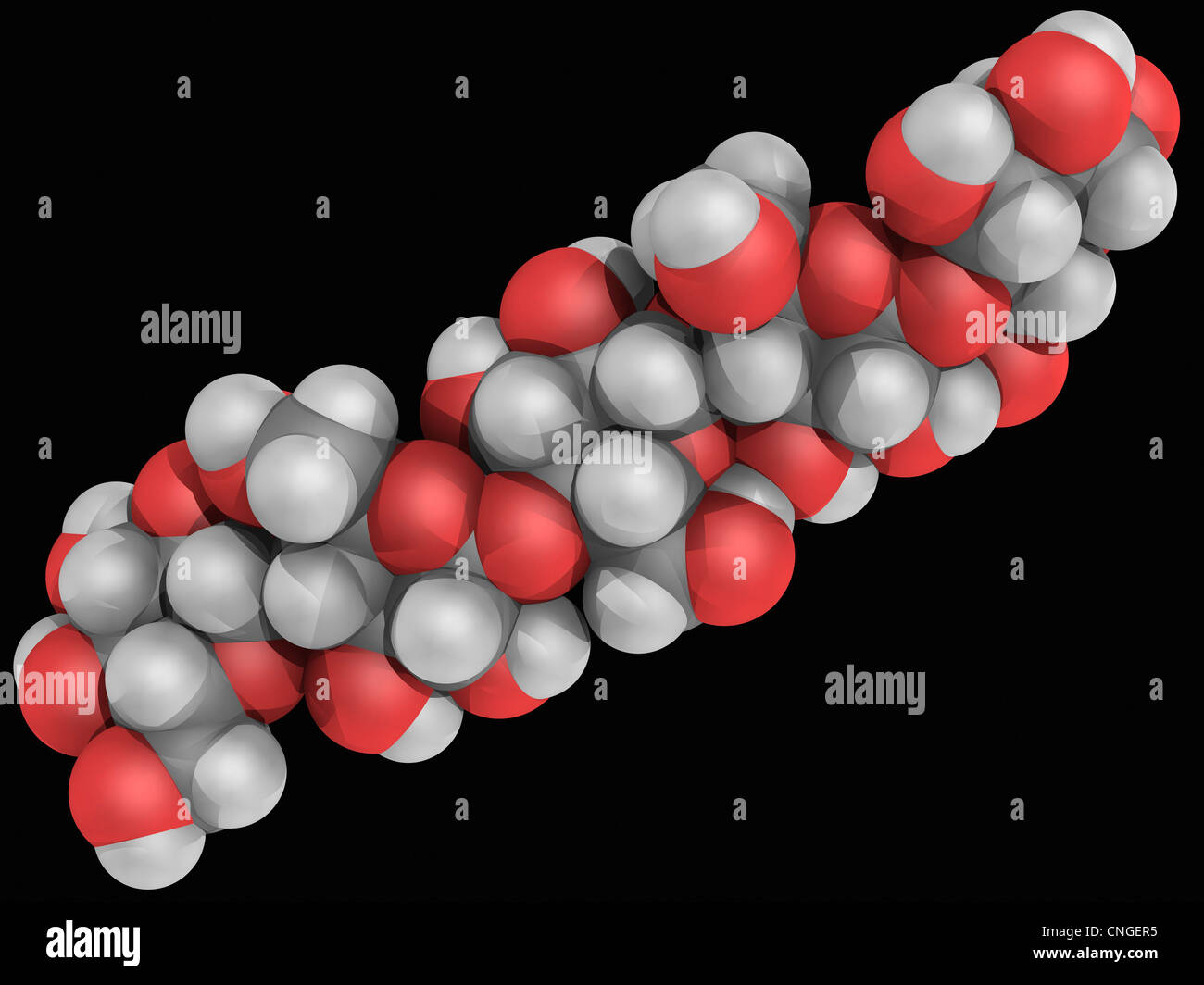 Cellulose Structure 3d