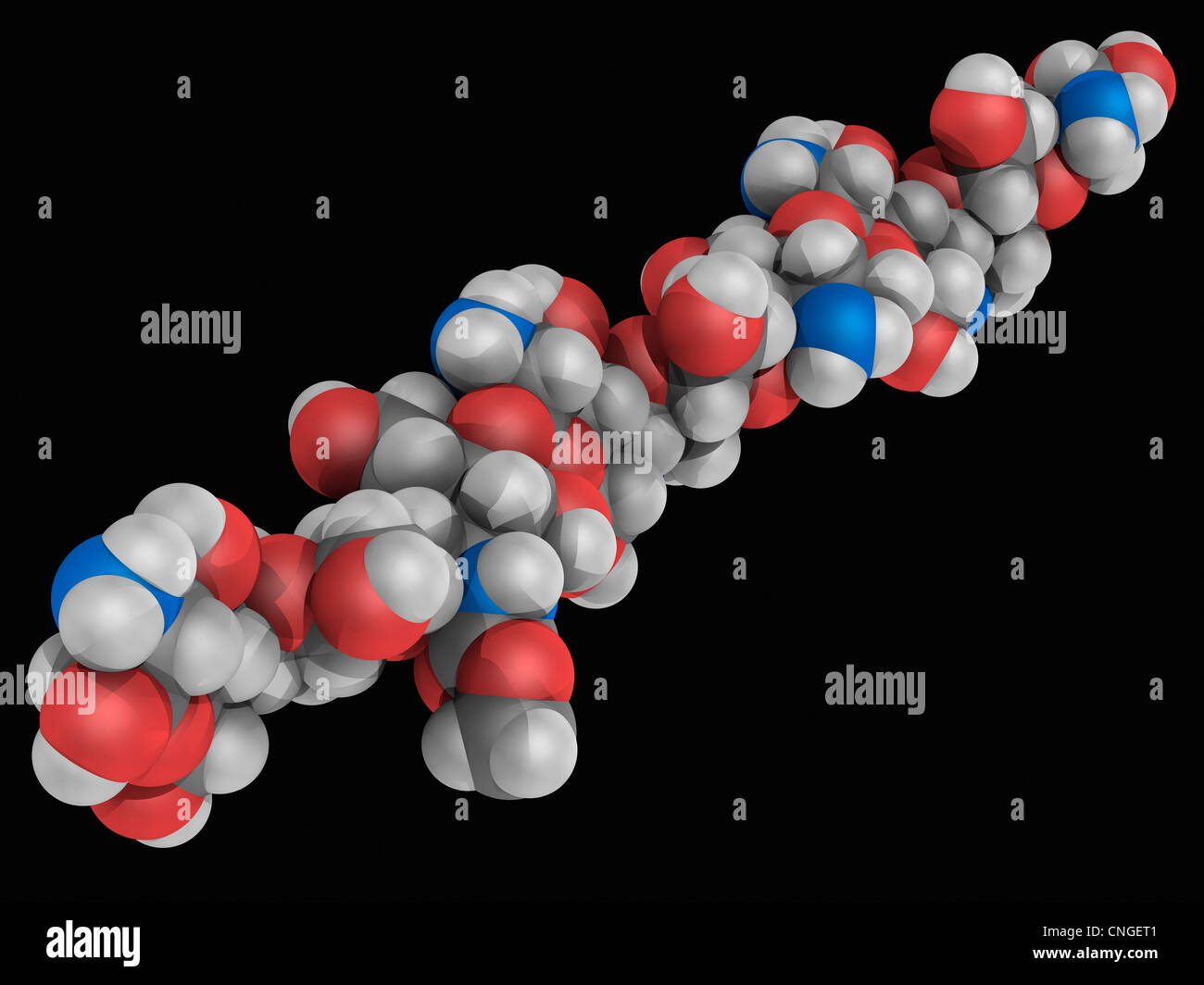 Poliglusam hi-res stock photography and images - Alamy