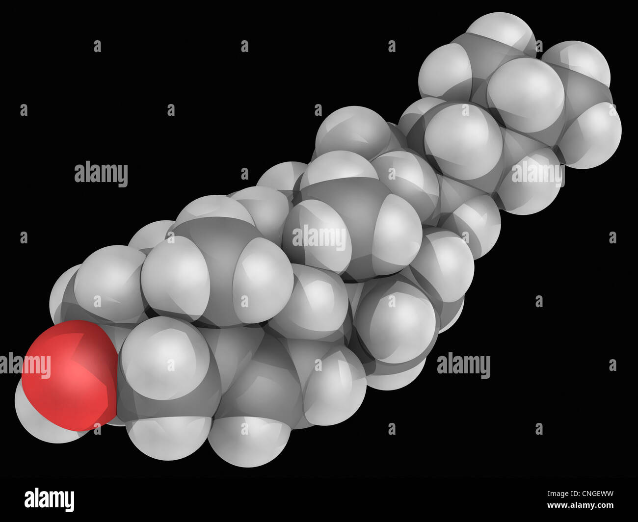 Cholesterol picture hi-res stock photography and images - Alamy