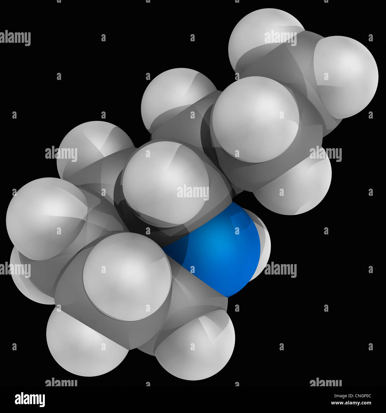 Coniine molecular hi-res stock photography and images - Alamy
