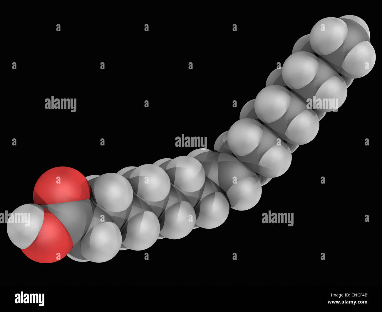 Chemical warfare plants hi-res stock photography and images - Alamy