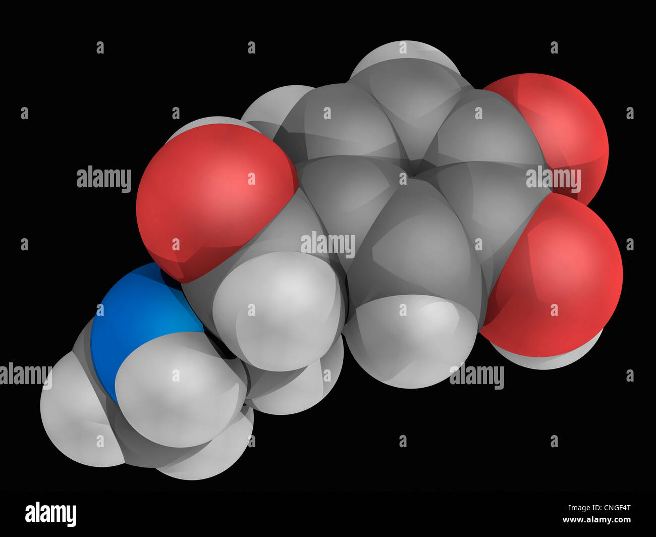 Epinephrine hi-res stock photography and images - Alamy