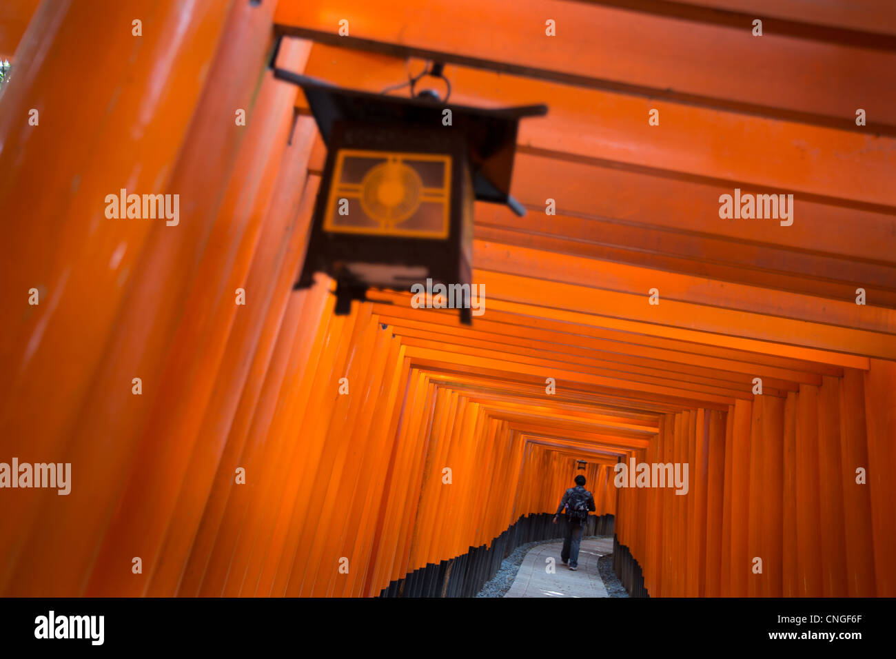 The tunnel and path of red torii gates leading to the Inner Shrine at ...