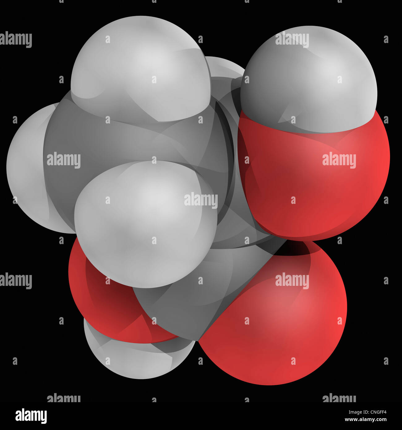 Lactic acid molecule Stock Photo - Alamy