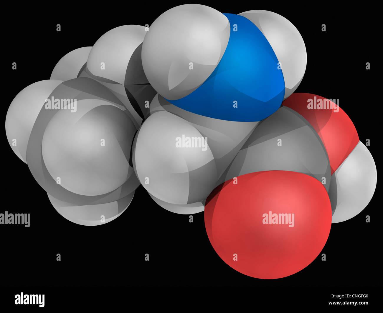 Leucine molecular hi-res stock photography and images - Alamy