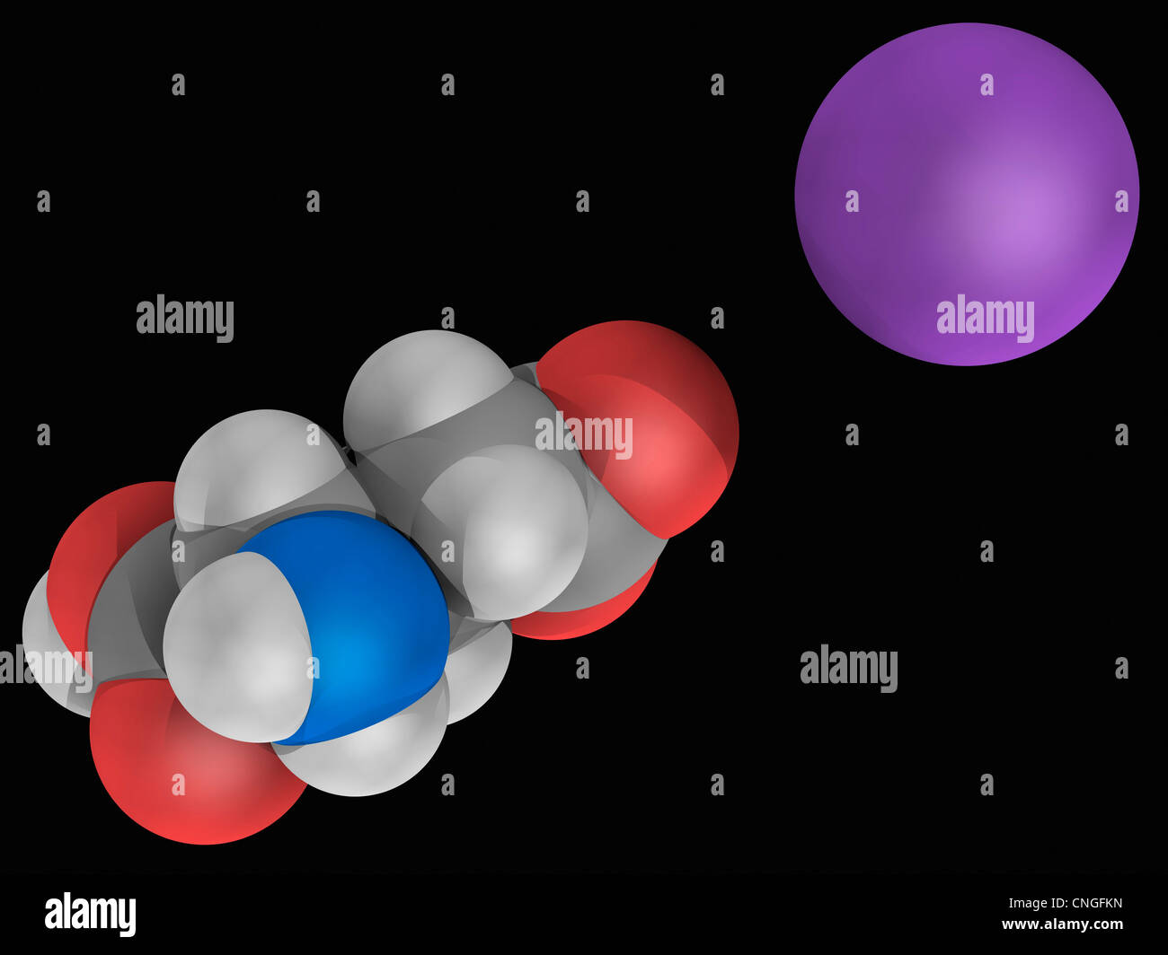 Monosodium glutamate molecule hi-res stock photography and images - Alamy
