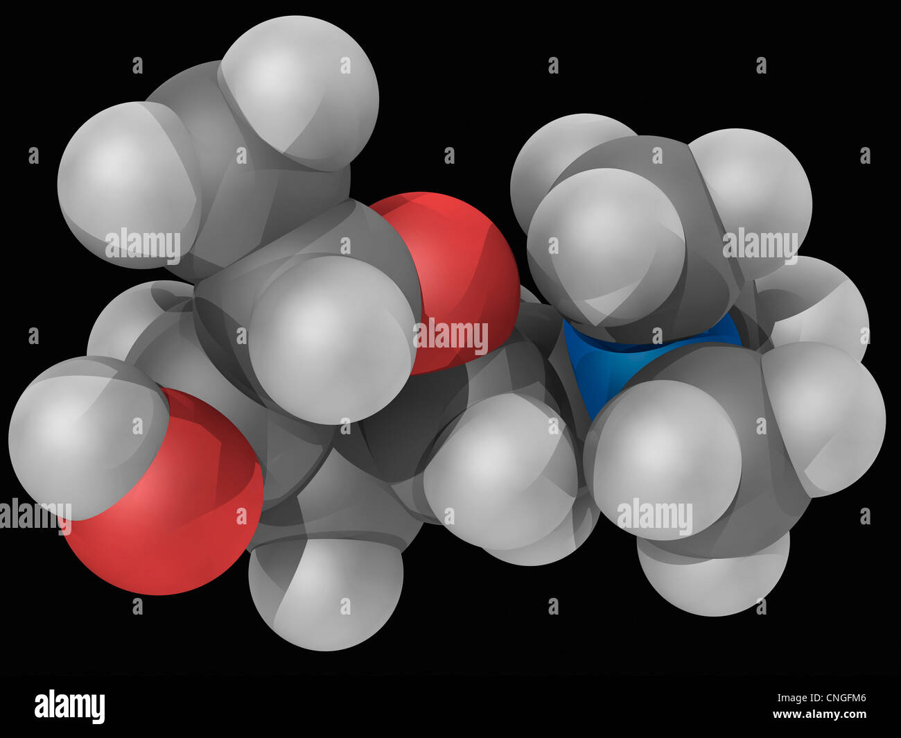 Muscarine hi-res stock photography and images - Alamy