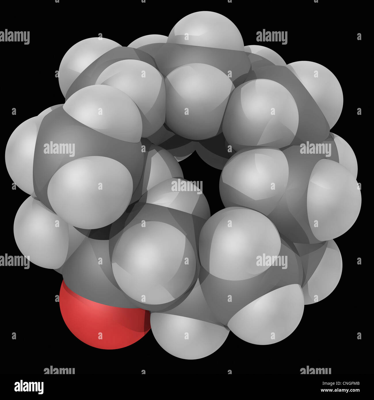 Muscone molecular hi-res stock photography and images - Alamy
