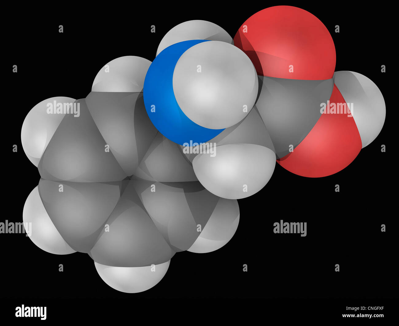 Phenylalanine hi-res stock photography and images - Alamy