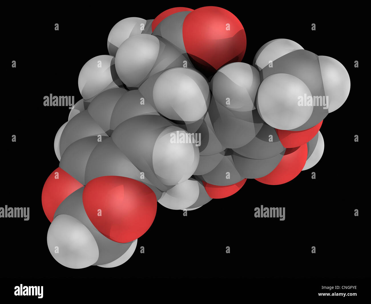 Podophyllotoxin hi-res stock photography and images - Alamy