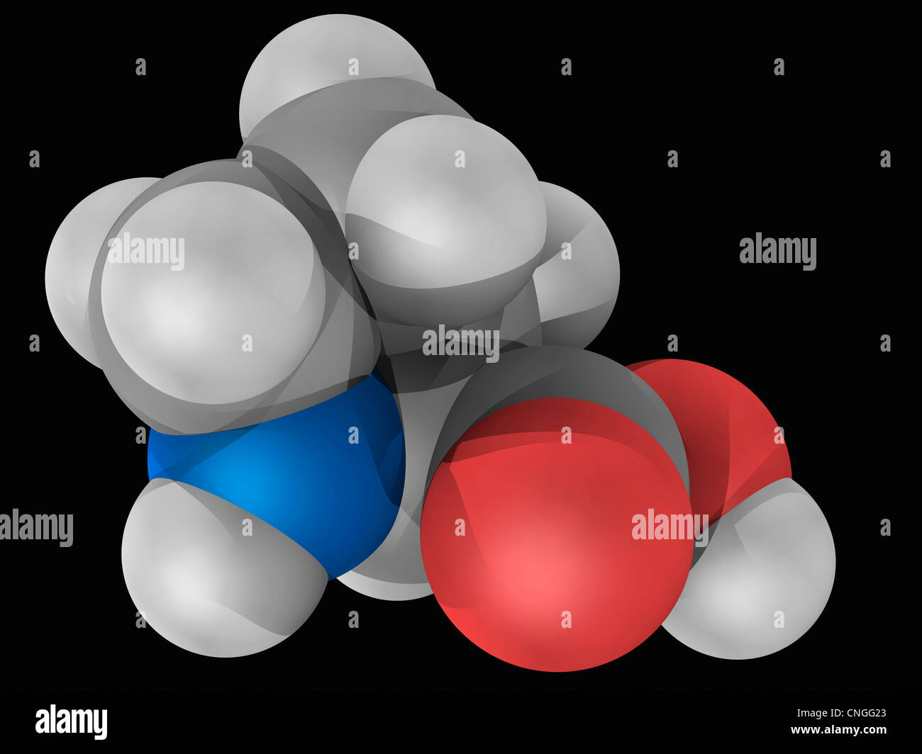 Proline hi-res stock photography and images - Alamy