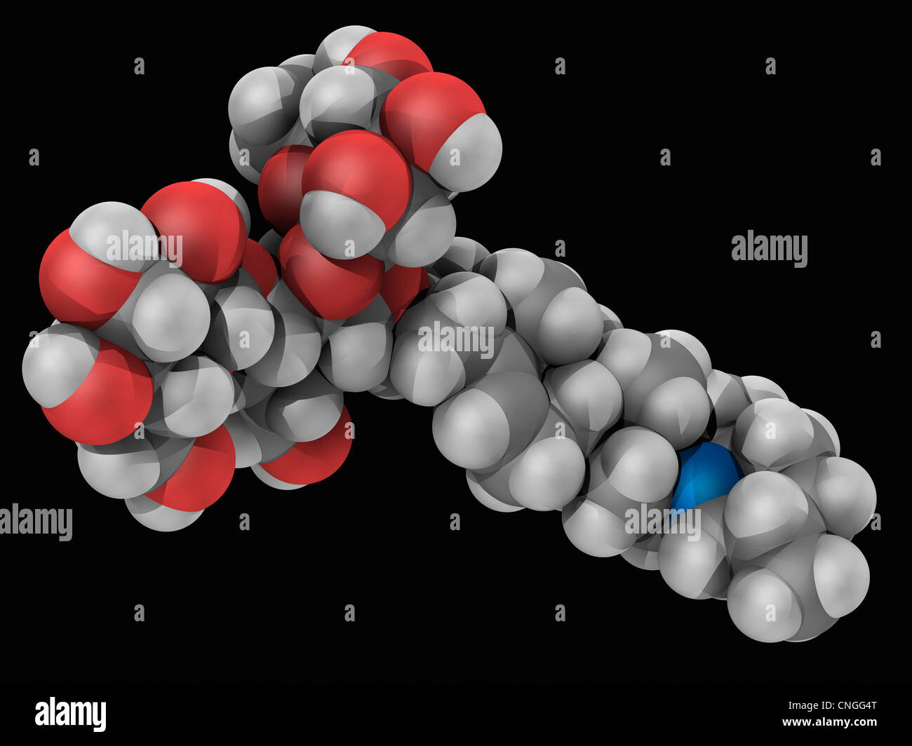 Solanine poison molecule Stock Photo - Alamy