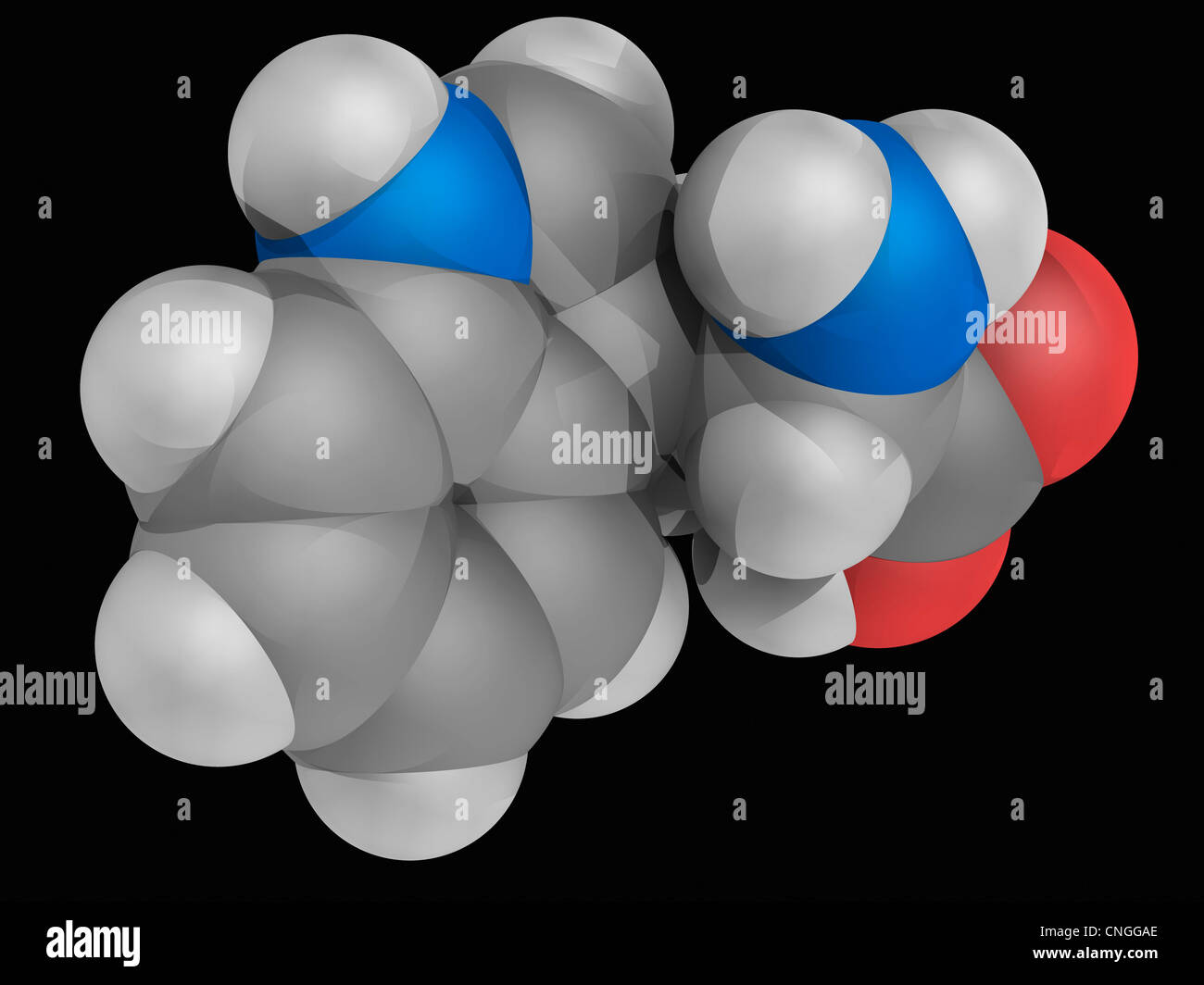Tryptophan amino acid hi-res stock photography and images - Alamy