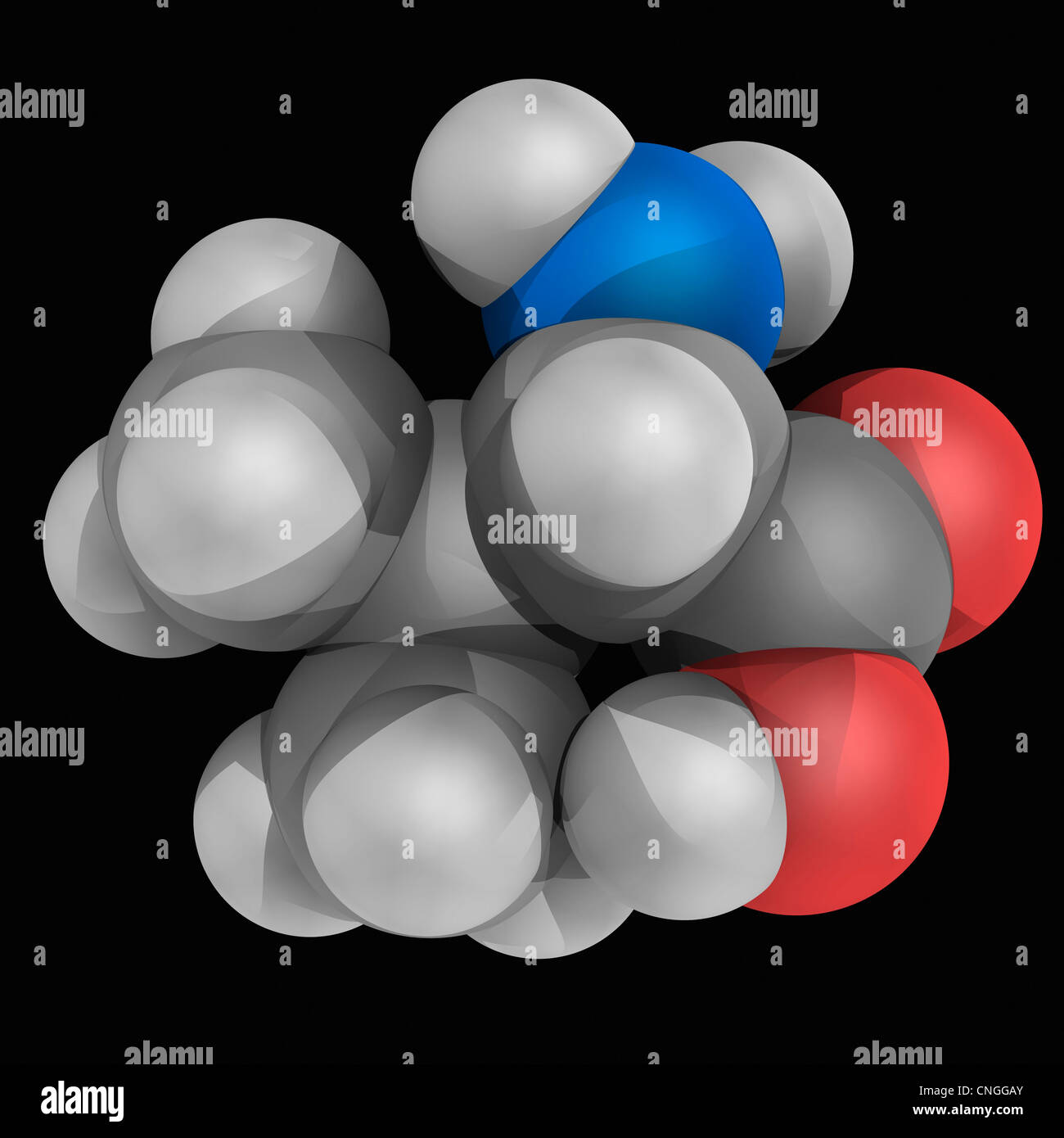 Valine High Resolution Stock Photography and Images - Alamy