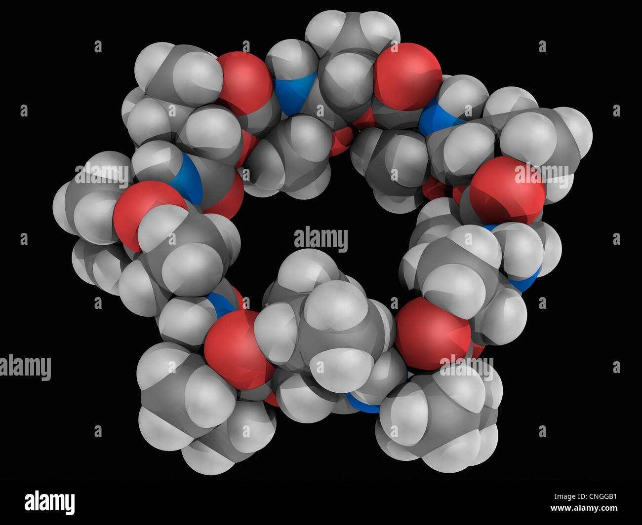 Valinomycin molecular hi-res stock photography and images - Alamy