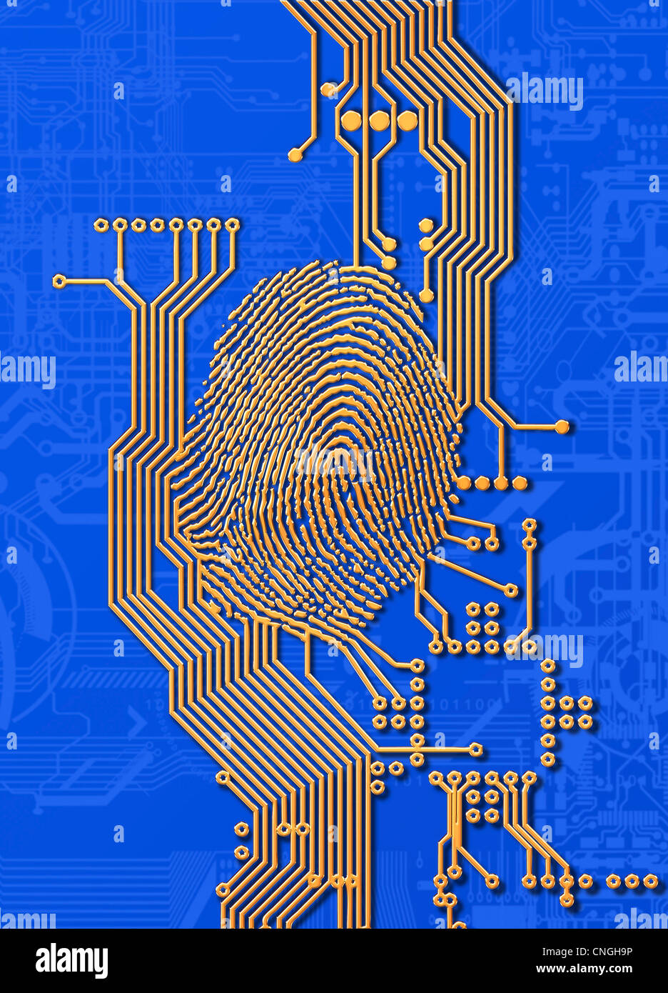 Biometric security artwork Stock Photo - Alamy