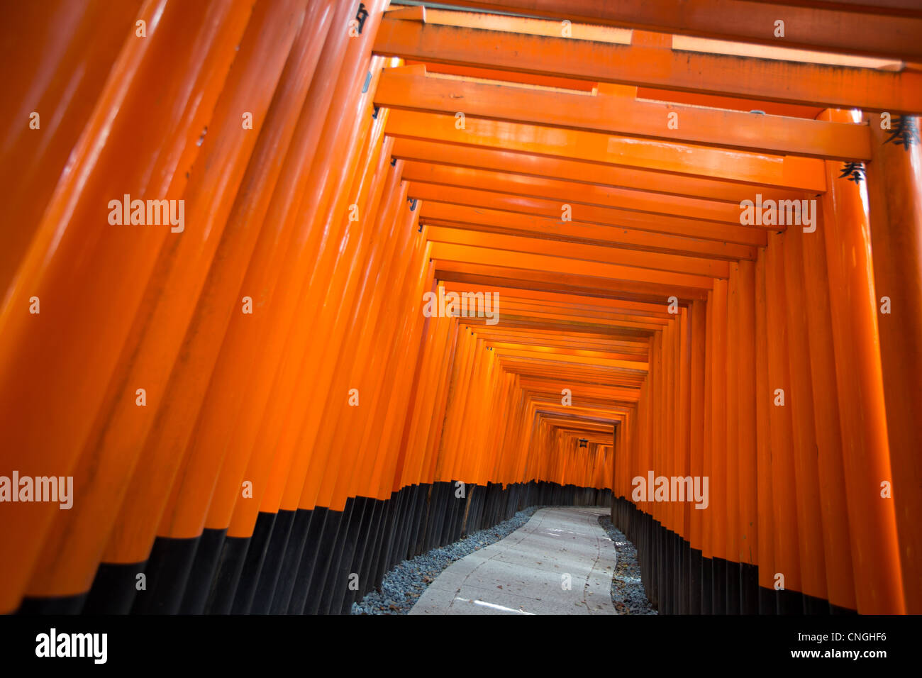 The tunnel and path of red torii gates leading to the Inner Shrine at ...