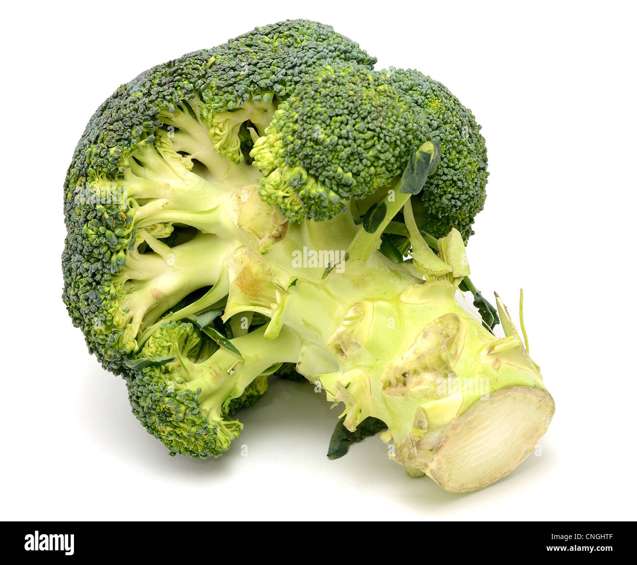 Macro shoot of big broccoli Stock Photo - Alamy