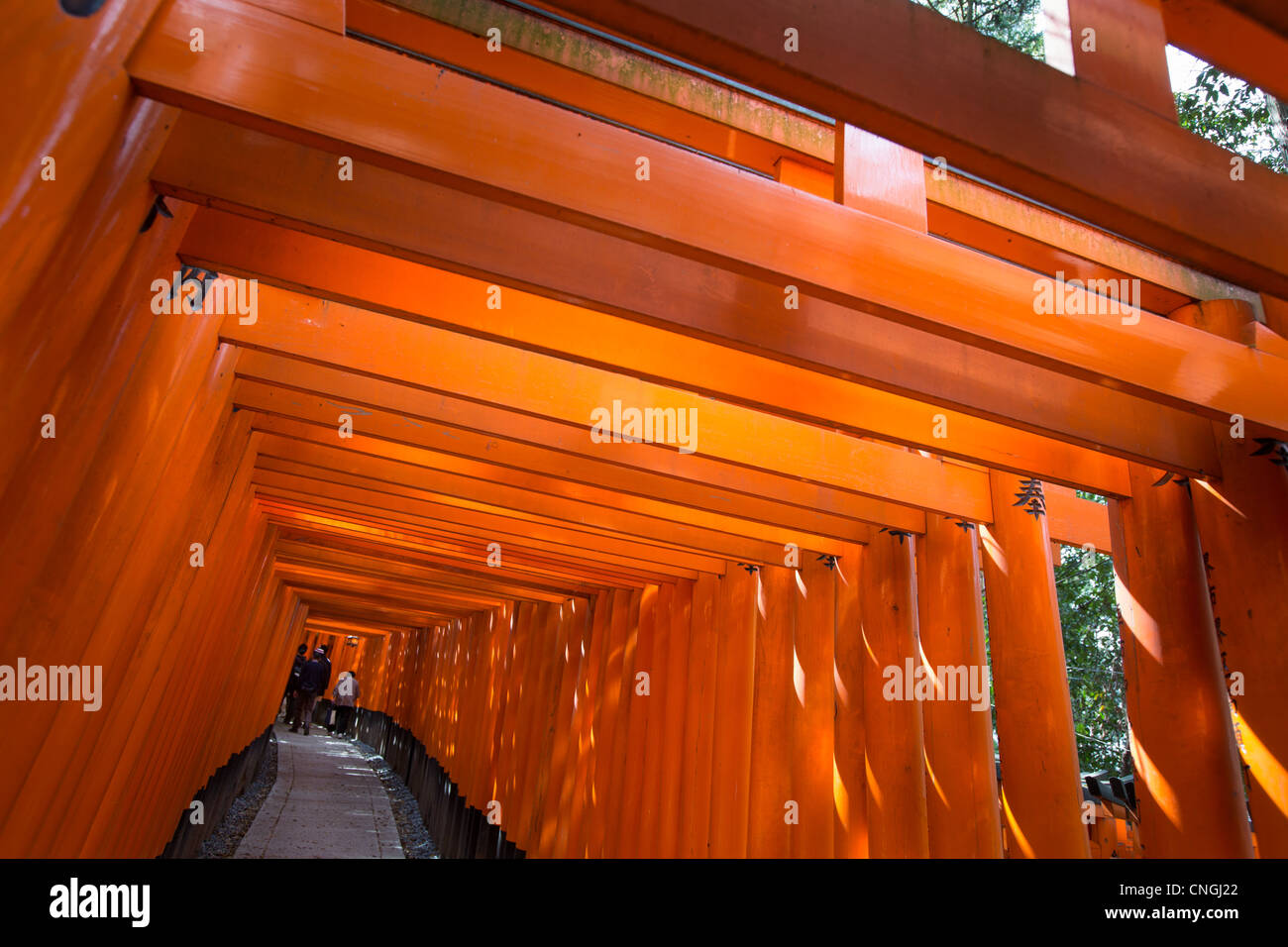 The tunnel and path of red torii gates leading to the Inner Shrine at ...