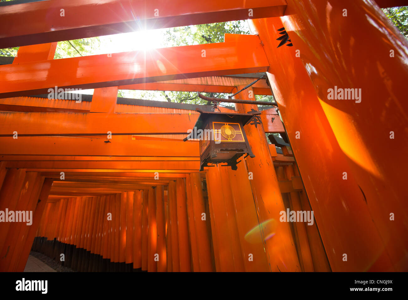 The tunnel and path of red torii gates leading to the Inner Shrine at ...
