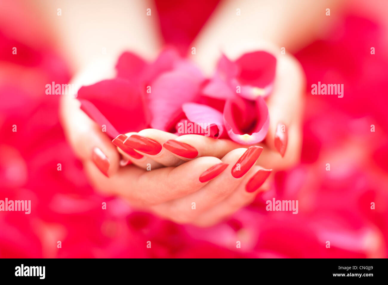 Conceptual model hi-res stock photography and images - Alamy