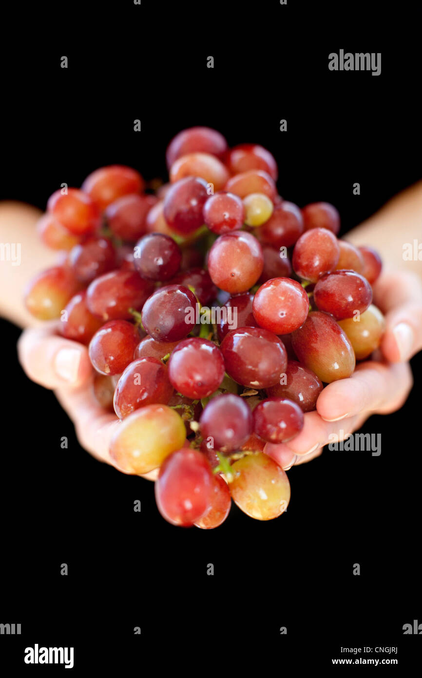 Hardy grapes hi-res stock photography and images - Alamy
