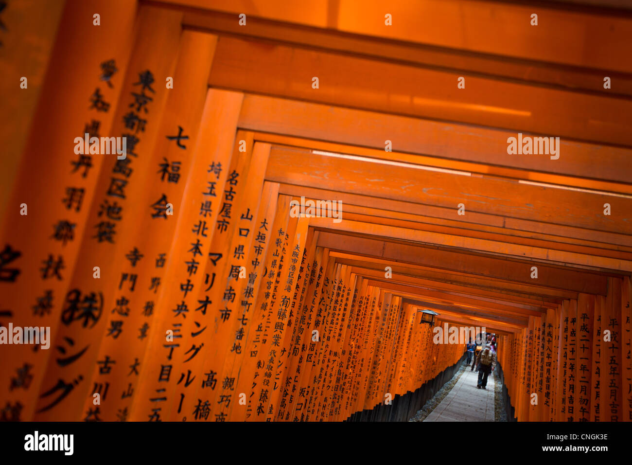 The tunnel and path of red torii gates leading to the Inner Shrine at ...