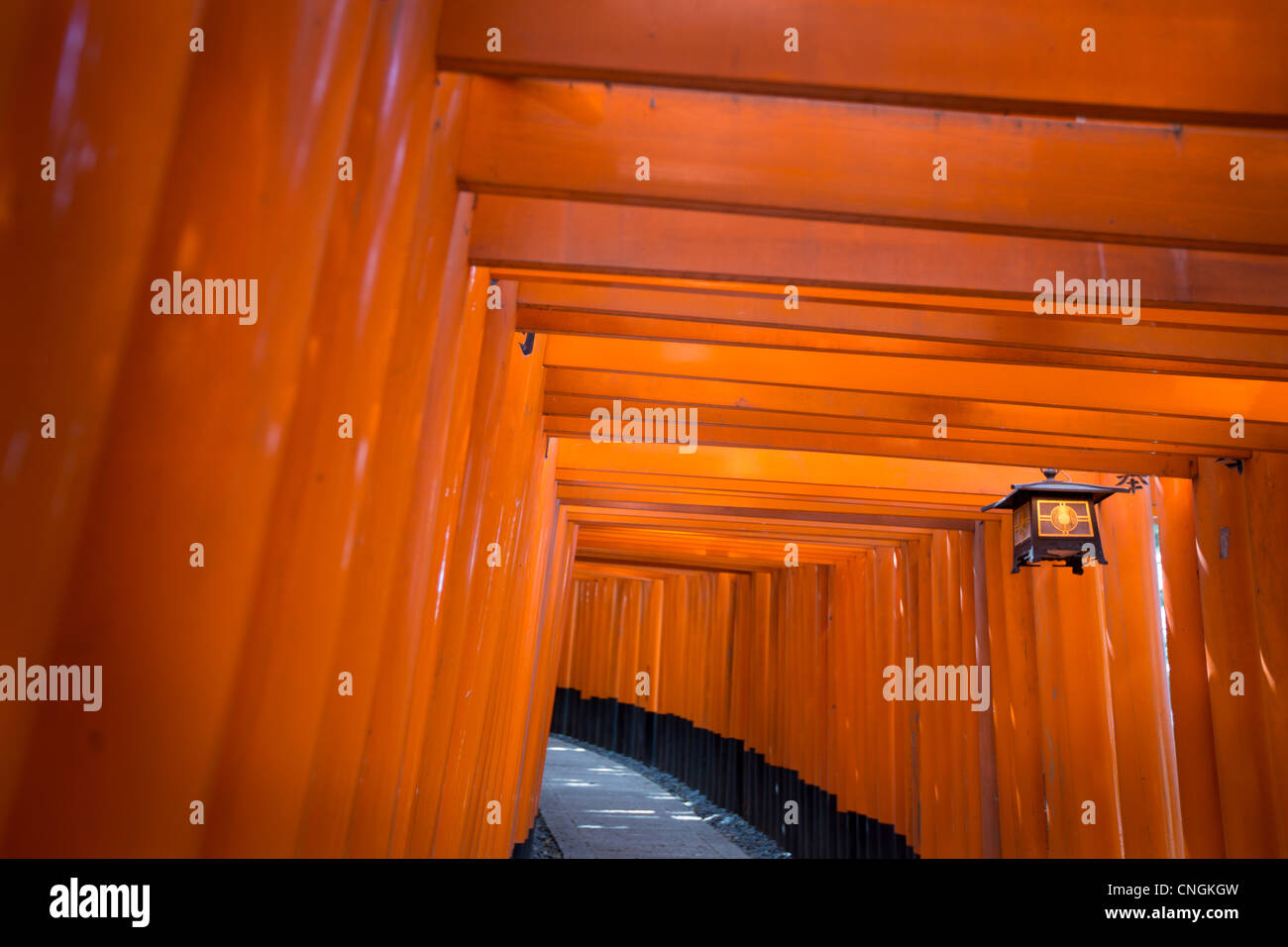 The tunnel and path of red torii gates leading to the Inner Shrine at ...