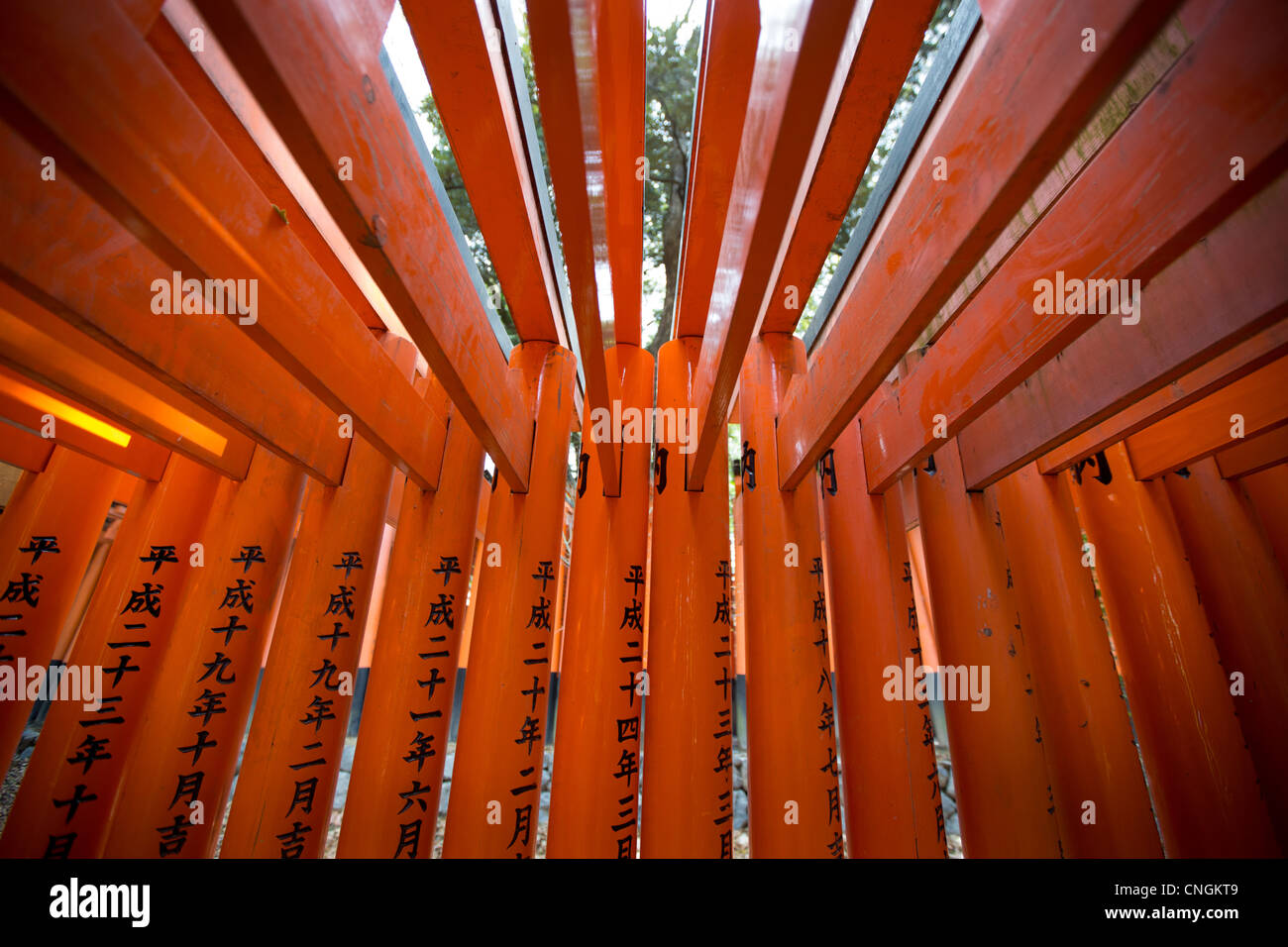 The tunnel and path of red torii gates leading to the Inner Shrine at ...